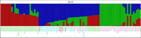 population structure bar plot of the hazelnut panel for k 3 each