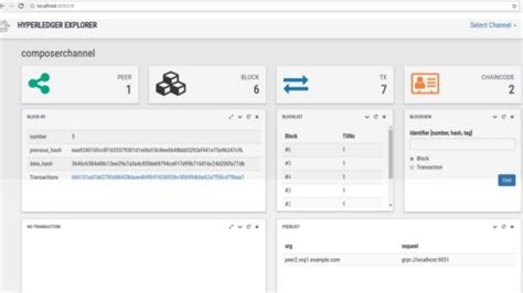 Blockchain Explorer