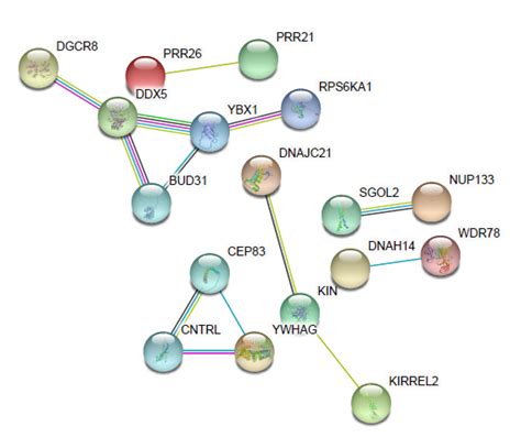 Interaction Network Of The Main Altered Genes Upregulated And