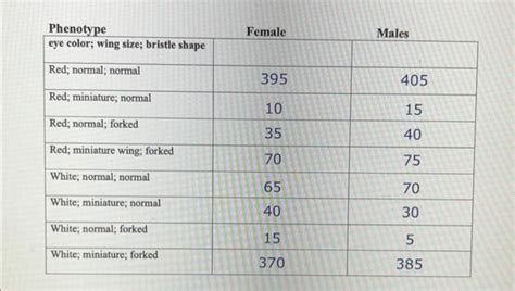 Solved Lab Activity In This Lab You Will Learn About The