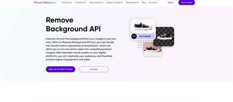 remove background by picsart ai tool for background removal