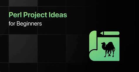 10 Best Perl Project Ideas For Beginners With Source Code