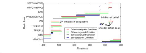 The Temporal And Spatial Activation Of Different Brain Areas During