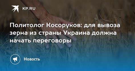 Политолог Косоруков для вывоза зерна из страны Украина должна начать переговоры Kp Ru