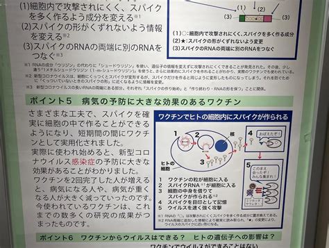 新型コロナウィルスの正体 Blog 相模原市東林間・中央林間で塾なら受験サポート塾ジーク Sieg