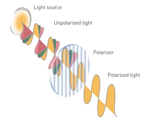 Fluorescence Polarization Detection Bmg Labtech