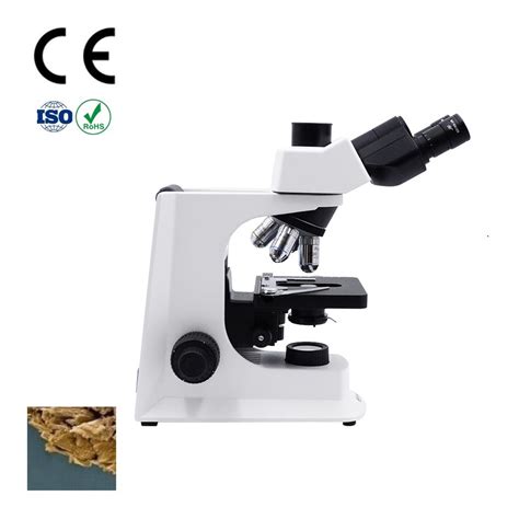 1600x Plan Achromatic Biological Microscope With 100x Objective Phase