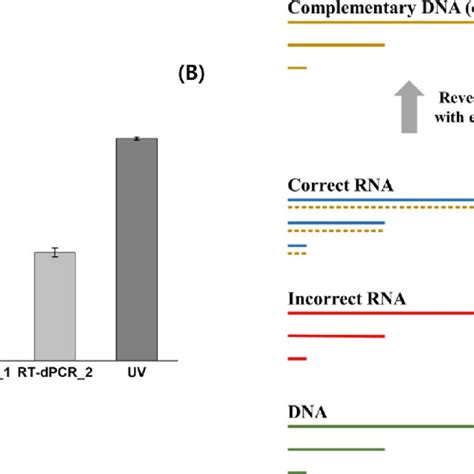 Comparison Of Different Methods For The Quantification Of Rna A Download Scientific Diagram