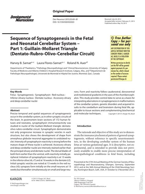 Pdf Sequence Of Synaptogenesis In The Fetal And Neonatal Cerebellar System Part 1 Guillain