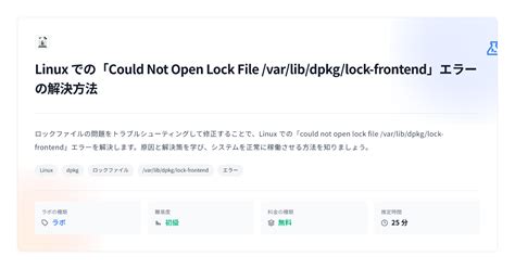 Linux の Dpkg ロックファイルエラー解決：varlibdpkglock Frontend 問題の対処法 Labex