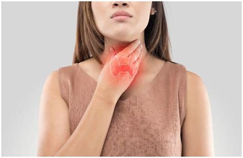 Thymus Vs Thyroid Location Functions Disorders Differences Your Health Remedy