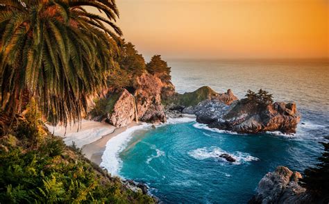 Green Leafed Plants Sea Beach Nature Waves Hd Wallpaper Wallpaper