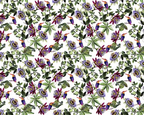 Passiflora Seamless Pattern On Behance