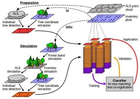 Applications Lidar For Forestry