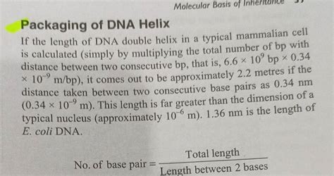 Packaging Of Dna Helix If The Length Of Dna Double Helix In A Typical Mam