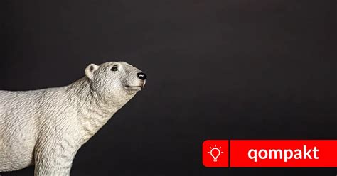 Mdsap Nc Grading Better Look Twice 17102024 Academy