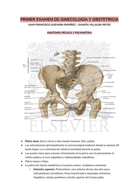 SOLUTION Compendio Resumen De Ginecolog A Y Obstetricia Studypool