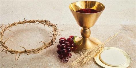 Noticias De Nueva Esparta PALABRA DE DIOS Evangelio De Este