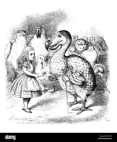 Alice In Wonderland Lewis Carroll Original Drawings
