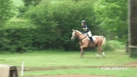 Horse  Funny