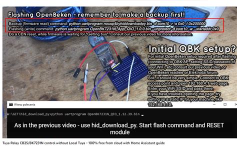 I Flashed My Switch That Has A BK7231N Chip On It Now What