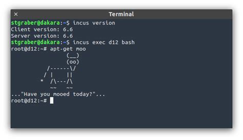 Incus 66 Has Been Released News Linux Containers Forum
