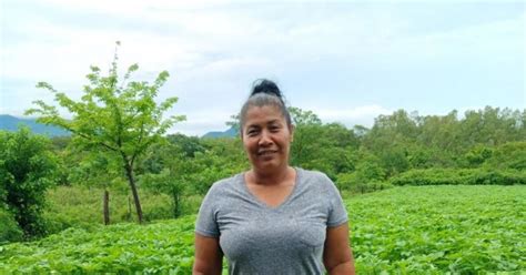 Wayne Vickress On Linkedin Can You Help Support Lesbia Amparo