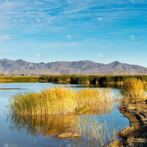 里德素材 花瓣网