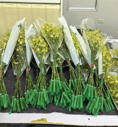 中國對台進行貿易壁壘調查 中市府輔導分散市場降低影響