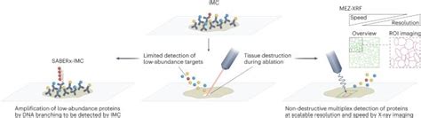 Noel De Miranda On Linkedin Advancing Multiplexed Imaging For Enhanced Tissue Complexity