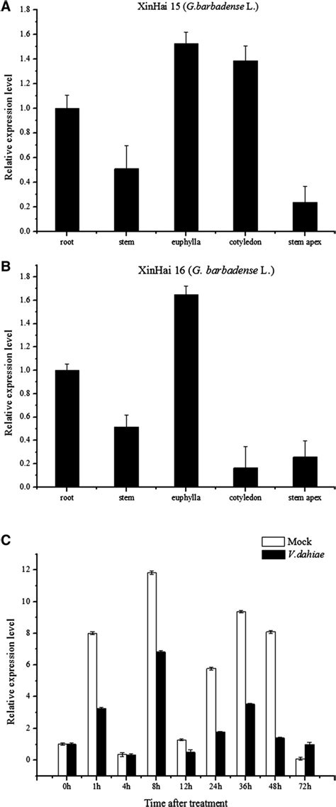 QRT PCR Analysis Of Expression Profile Of GbNAC1 A Tissue Specific