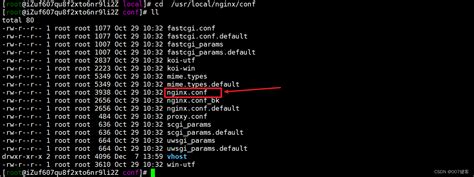 Springbootvue前后端分离项目云服务器nginx配置springboot Vue前后端分离 阿里云部署