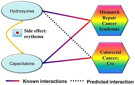 The Most Confident Prediction Achieved By Predr Disease ‘colorectal