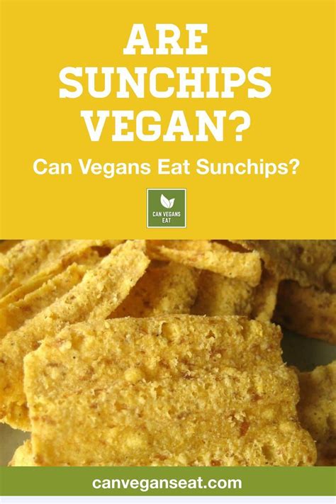 Is Heinz Ketchup Vegan Fully Explained Artofit