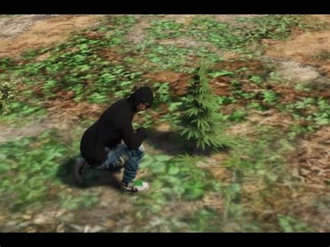 ESX PAID Weed Farm FiveM Releases Cfx Re Community