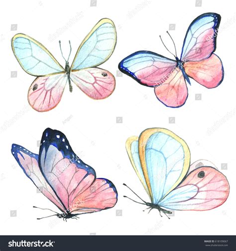 날아다니는 나비의 수채화 스톡 일러스트 618109067 Shutterstock