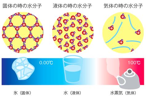 Aqua Sphere