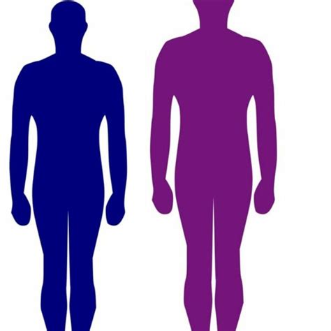 Height Comparison Is The Difference Between 54″ And 56″ Significant