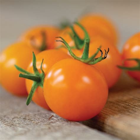 Lycopersicon Esculentum Sun Sugar Cherry Tomato Bettys Azalea Ranch
