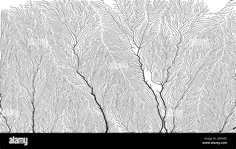 Growth Pattern Generative Branching Structure Organic Net Of Vessels Texture Stock Vector