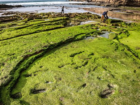 Cosa Ci Dicono Le Impronte Di 100 000 Anni Fa In Marocco Sui Primi