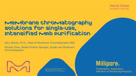 Membrane Chromatography Solutions For Single Use Intensified Mab