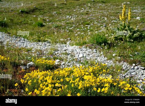Gran Sasso And Monti Della Laga National Park Abruzzo Region Italy