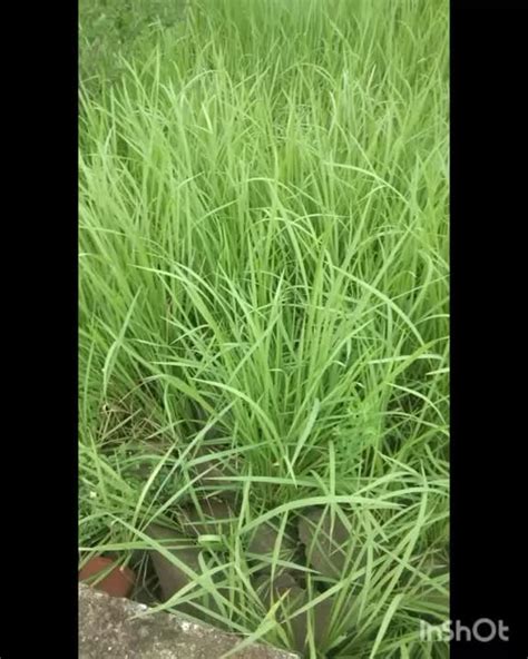 Sanjana Vishwakarma On Linkedin Programming Architecture Coding