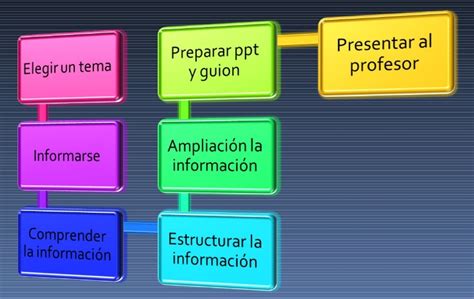 Mis Primeros Amigos Pasos Para Hacer Una Exposición