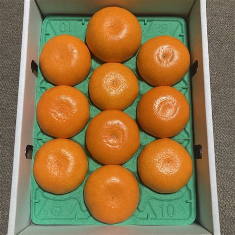 Yahooオークション せとか 愛媛県産