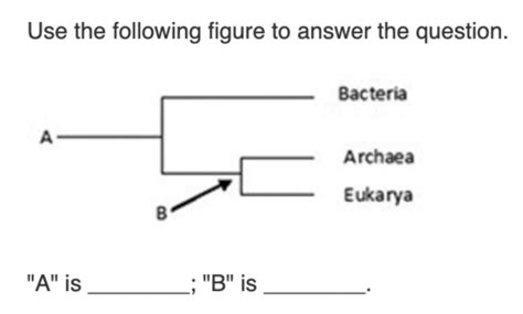Bio 110 Midterm 1 Flashcards Quizlet