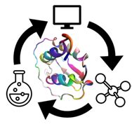 Rational Protein Engineering Using Data Driven Generative Models DSI