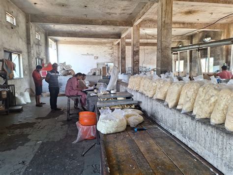 The Food Department Team Collected Samples For Mawa And Doodh Katli In