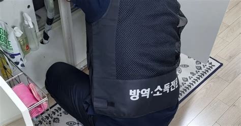 해충방역 클린 숨고 숨은고수